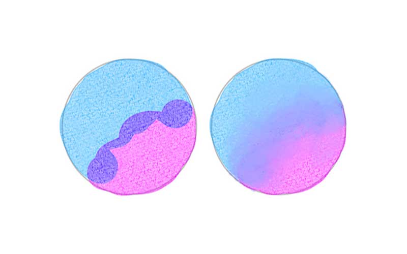 Brushes that match your style - Clip Studio Paint