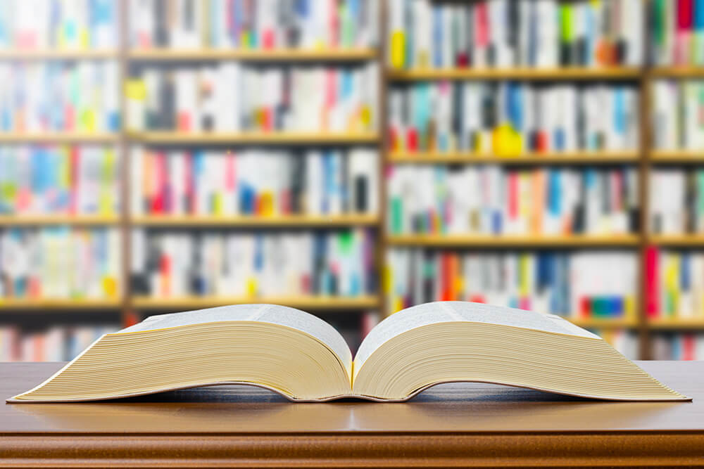 Skills & Knowledge for Animators - Clip Studio Paint