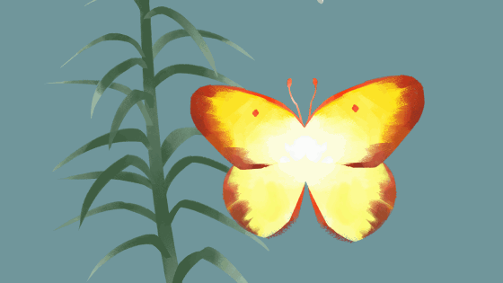 Wissen und Skills für Animationsdesigner - CLIP STUDIO PAINT