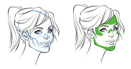 Guide anatomique facial | Art Rocket