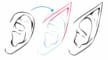 Guide to Drawing Ears | Art Rocket