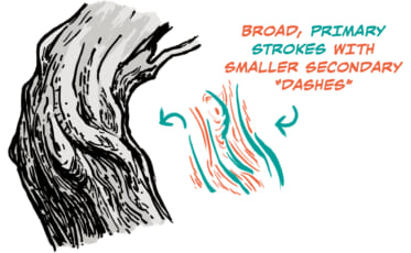 How To Draw A Tree | Art Rocket