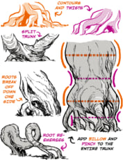 How To Draw A Tree | Art Rocket