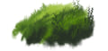How to Draw Various Foliage with a Depth of Field | | Art Rocket