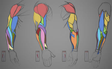 How to Draw an Arm | Art Rocket