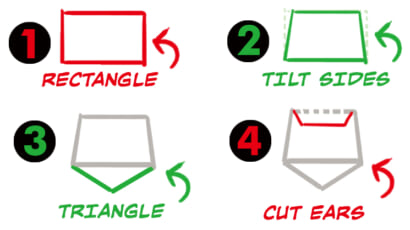 How To Draw Animal Heads & Snouts | Art Rocket