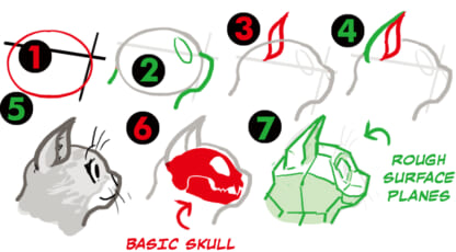 How To Draw Animal Heads & Snouts | Art Rocket