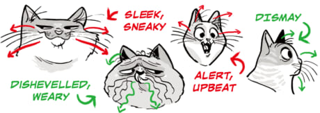 How To Draw Animal Heads & Snouts | Art Rocket