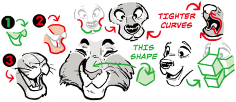 How To Draw Animal Heads & Snouts | Art Rocket