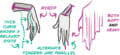 How to Draw Thin, Supple Hands | Etherington Brothers | Art Rocket