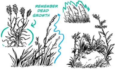 How to Draw GRASS & FORESTS | Etherington Brothers | Art Rocket