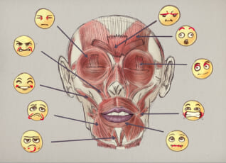 Create funny emotes for exaggerated emotions | Art Rocket
