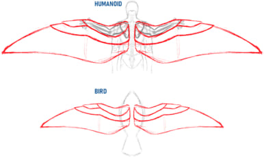 How to draw wings and winged creatures | Art Rocket